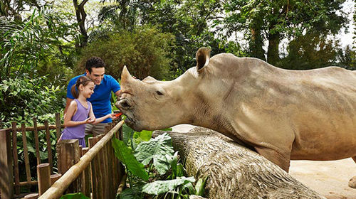 新加坡动物园爬行世界幕后之旅 Singapore Zoo Reptopia Tour (Behind the Scene)线路推荐【携程玩乐】
