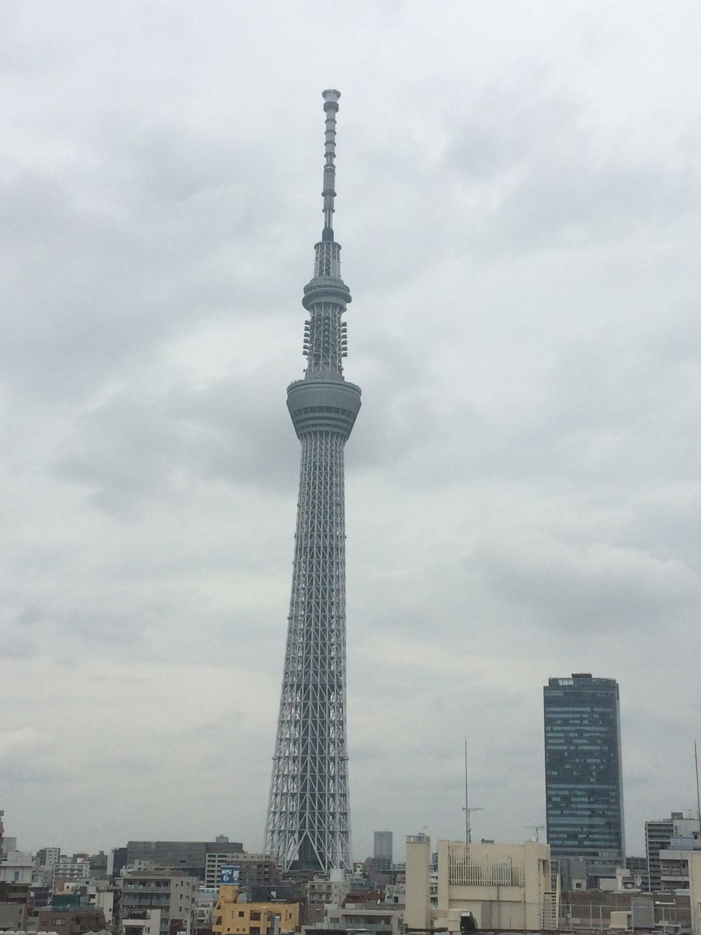 天空树晴空塔,晴空塔,天空树_大山谷图库
